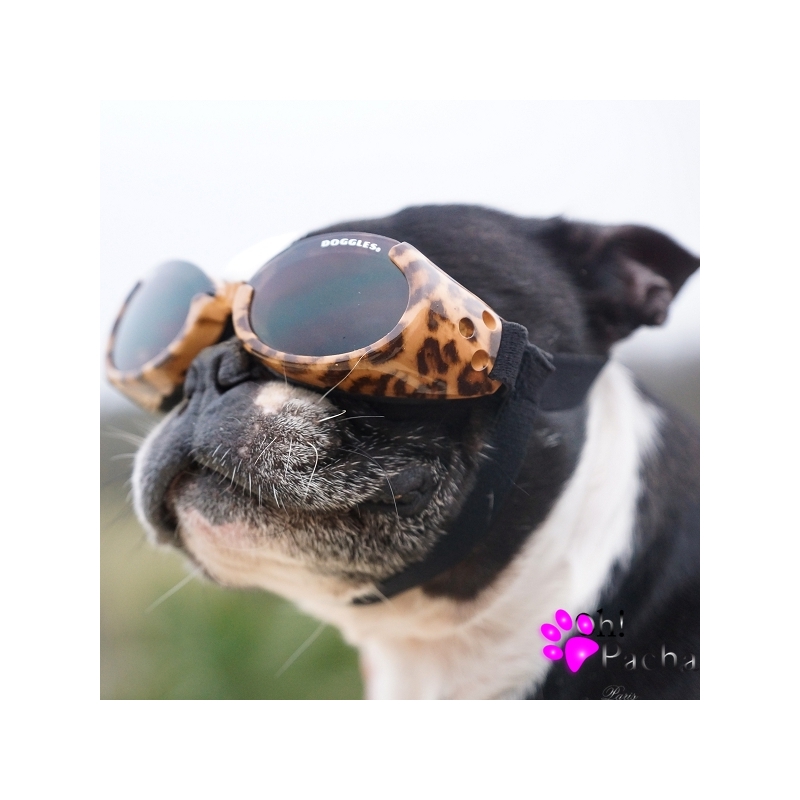 Lunette pour chien léopard Doggles
