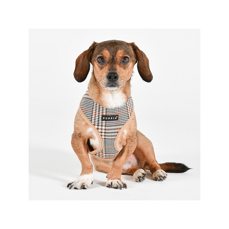 Harnais pour chien et chiot écossais beige Puppia
